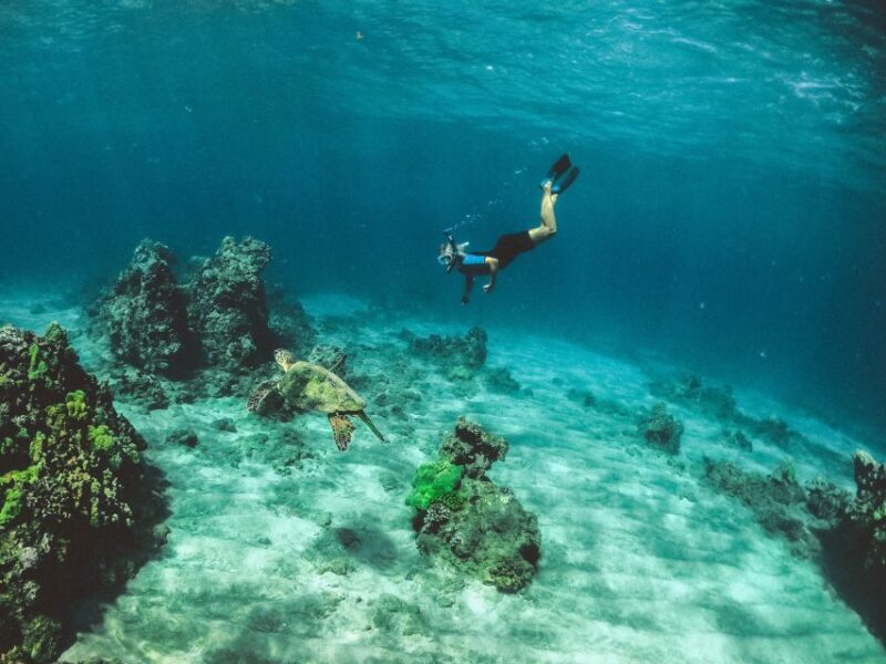 Mirissa: Snorkeling Experience with Turtles - Final Words
