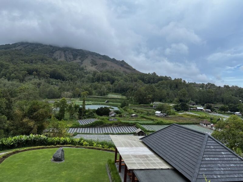 Mount Batur Sunrise Trek & Hot Springs Tour - Who Should Consider This Tour?
