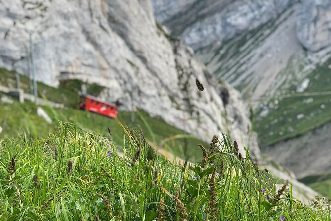 Mt. Pilatus with Lake of Lucerne Cruise Private Tour from Lucerne - Final Thoughts: Who Should Consider This Tour?