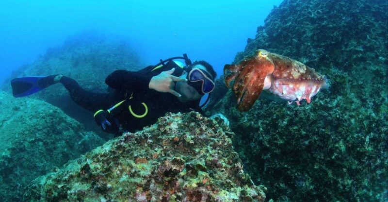 Nha Trang: Scuba Diving Experience for Non-Certified Divers - Authentic Experiences and Review Highlights