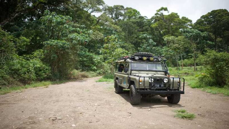 North Bali: Private Guided 4x4 Jeep, Cycling & Hot Spring - FAQs