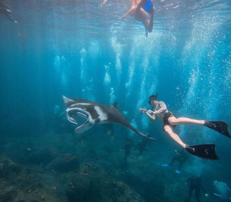 Nusa Penida: Snorkeling 3 Spots with GoPro & West Land Tour - Authentic Insights from Past Travelers