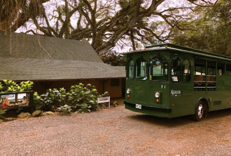 Oahu: Kualoa Movie Sites, Jungle, and Buffet Tour Package - Practical Details: What to Expect