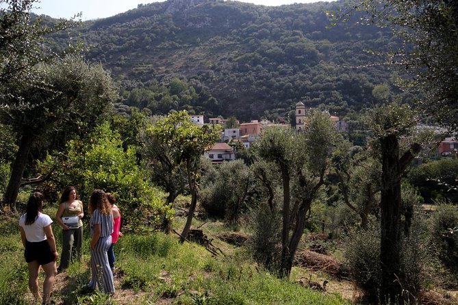 Olive oil tasting in Sorrento - Authenticity and Authentic Experiences