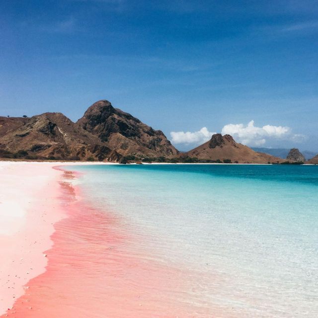 One-Day Komodo Tour By Speedboat - FAQs