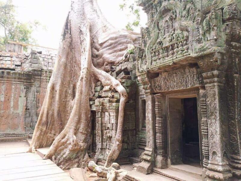 One Day Shared Trip to Angkor Temples with sunset - The Experience: What Travelers Say