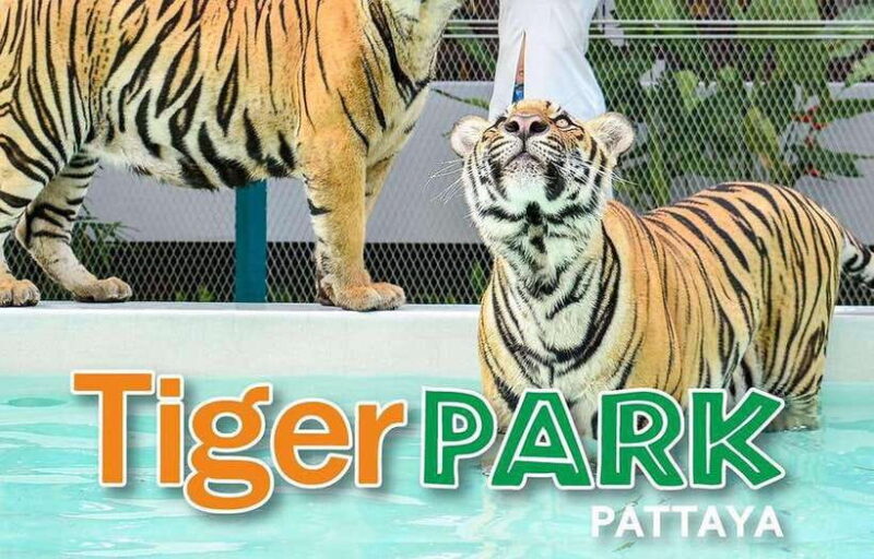Pattaya Custom Tour Private Car Charter from Bangkok - Is This Tour Right for You?