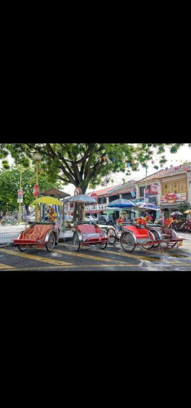 Penang: Exciting Local Half Day Private tour 6-10pax(5Hours) - How Does the Price Reflect Value?