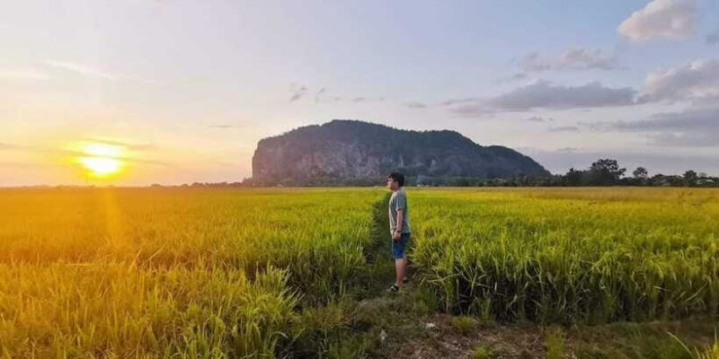 Penang:Full-Day Tour to Kedah with Local Guide and Driver - Who Should Consider This Tour?