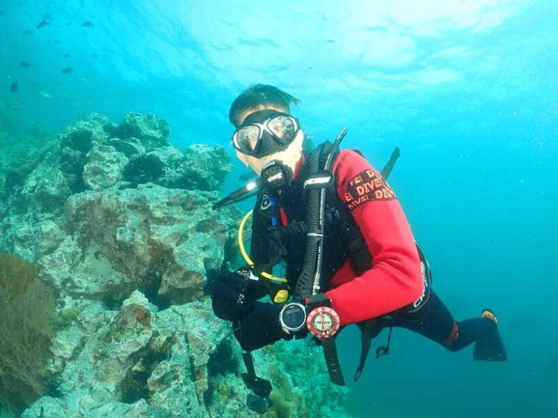 Phuket: 3 Dive Koh Phi Phi/Shark Point Scuba Diving Day Trip - Final Thoughts: Who Is This Tour Best For?