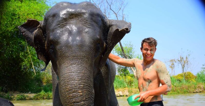 Phuket: Elephant Save & Care Program Tour - Ethical Focus and Animal Welfare
