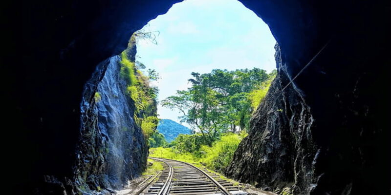 Pinnawala Rambukkana: Hidden Gem Tour - Why This Tour Is a Great Investment