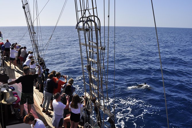 Pirate Adventure Boat Tour with Lunch in Fuerteventura - The Sum Up: Who Will Love This Tour?