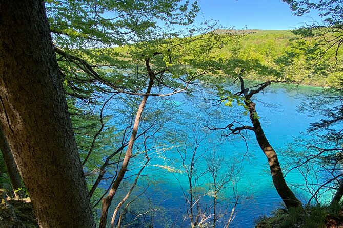Plitvice private tour driver + guide up to 8 ppl from Zadar - The Sum Up