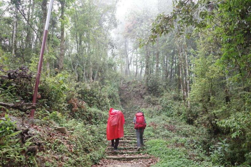 Pokhara: 4-Day Mardi Himal Base Camp Trek with Transfers - Analyzing the Value