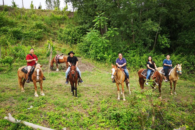 Pompeii Guided Tour & Horse Riding on Vesuvius with Lunch - The Overall Experience: What Travelers Say