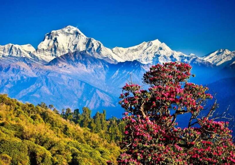 Poon-Hill Nepal - Final Thoughts