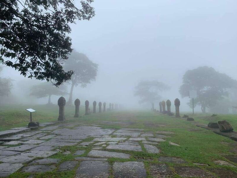 Preah Vihea and Beng Mealea Temple Guided Tour - Final Thoughts: Who Will Love This Tour?