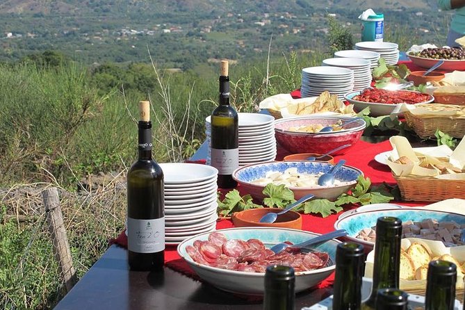 Private 8-Hour Tour of Four Etna Wineries with Tasting - Key Points