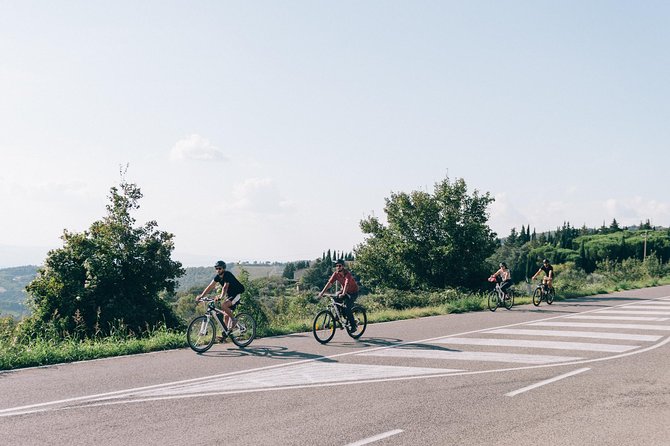 Private E-bike Tour in Chianti from San Gimignano - The Sum Up