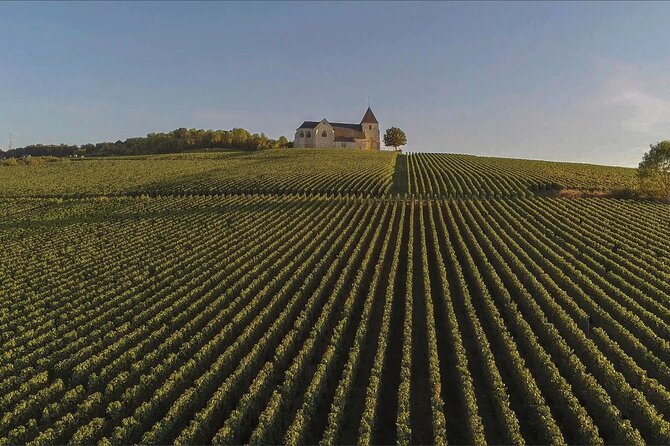 Private Full Day Tour to Champagne from Paris, Visit of 2 Champagne Producers - Final Thoughts