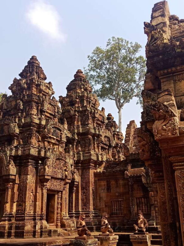 Private Guided Tours From Angkor Wat Sunrise To Banteay Srei - The Practicalities of the Tour
