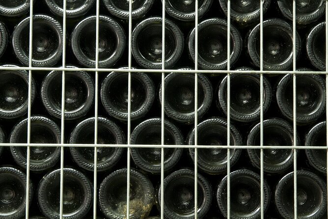 Private Sparkling Wine Tasting in Istria - Who Should Consider This Tour?