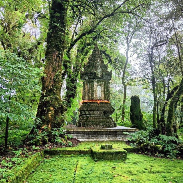 Private Tour Doi Inthanon, Trekking Kew Mae Pan Nature Trail - FAQ