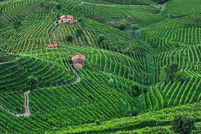 Prosecco Wine Tour. Full day from Venice - FAQ
