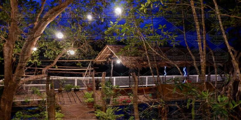 Puerto Princesa: Firefly Watching Paddle Boat Tour & Dinner - Breakdown of the Itinerary