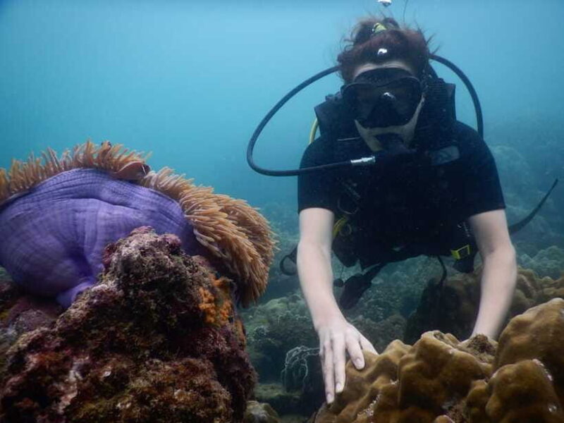 [Red River Tours] Luxury Professional Scuba Diving - Practical Details and Considerations