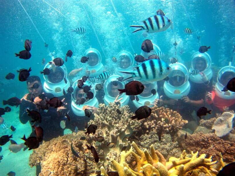 Red River Tours - Sea Walking Experience in Phu Quoc - The Sum Up: Is It Worth It?