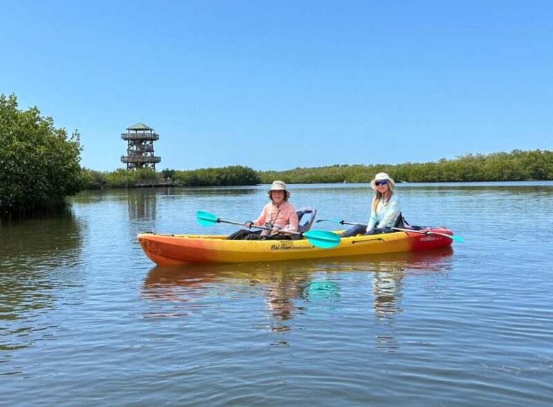 Robinson Preserve Mangrove Tour - The Itinerary in Detail