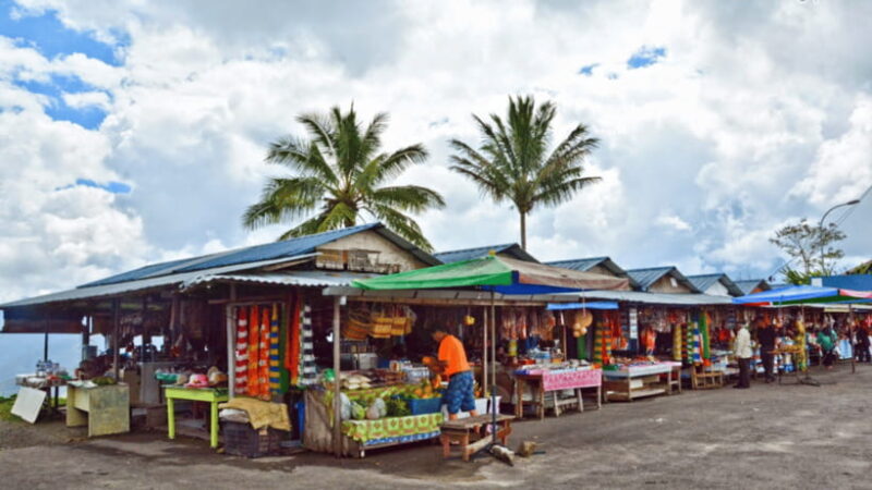 Sabah: Kundasang Nature Day Tour - Key Points