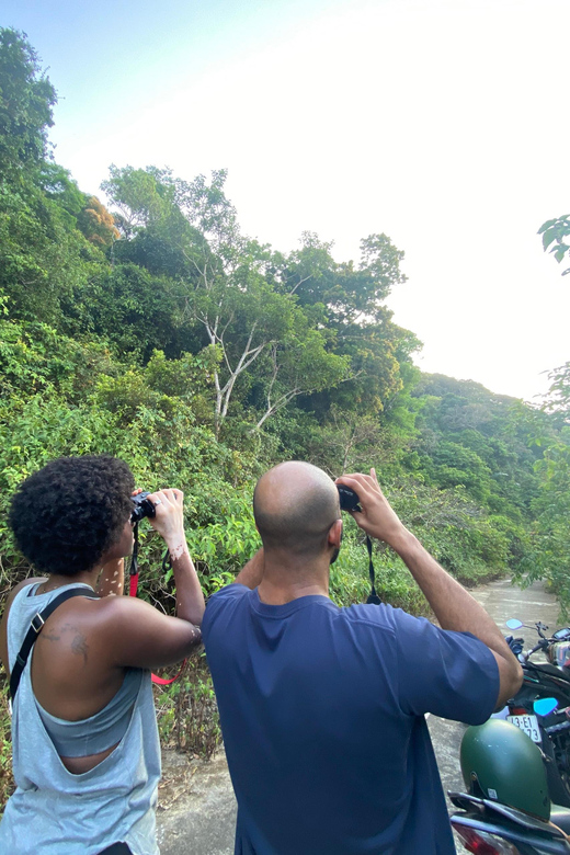 Safari - Finding the most endangered monkey in the World - The Sum Up