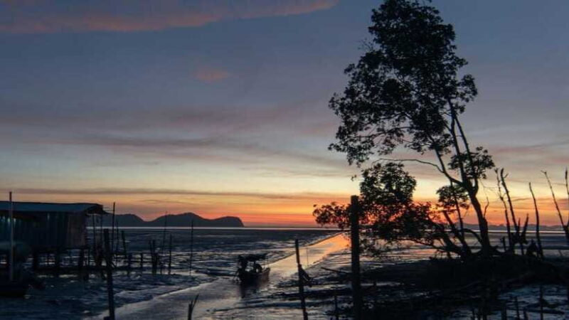 Sandakan : Fireflies and Mangrove Cruise with Dinner - Considerations