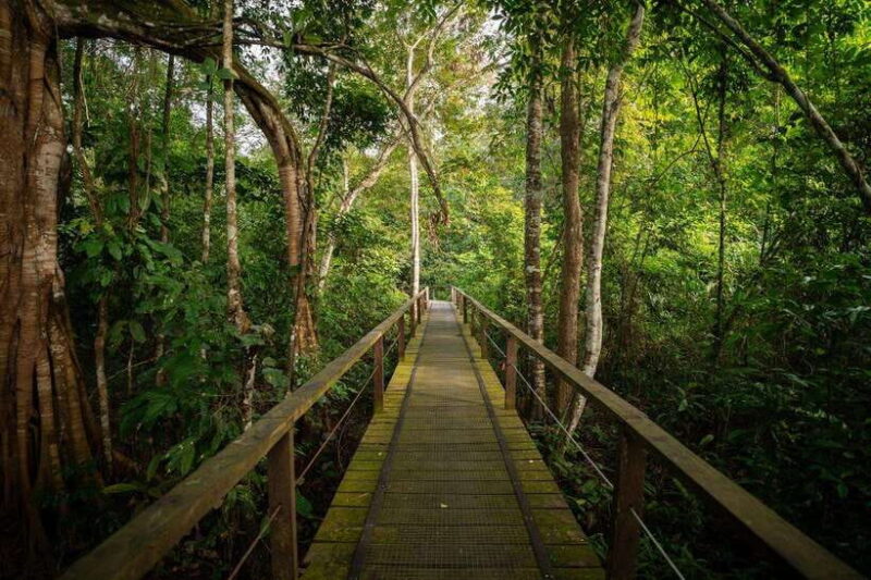 Sandakan: Kinabatangan River Wildlife Cruise with Lunch - Practical Tips for Travelers