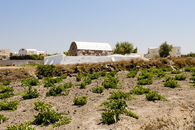Santorini Highlights and Venetian Castles Small-Group Day Tour - FAQ