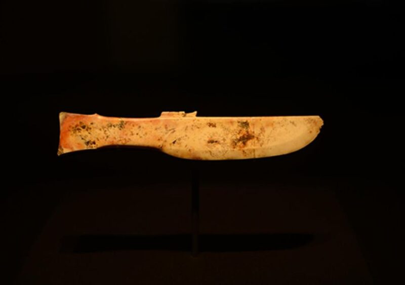 Sanxingdui Museum Small Group Tour with Optional Panda Base - Who Will Love This Tour?
