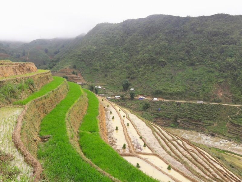 Sapa beautiful rice field, village - Easy walking kid,senior - Lunch with a View