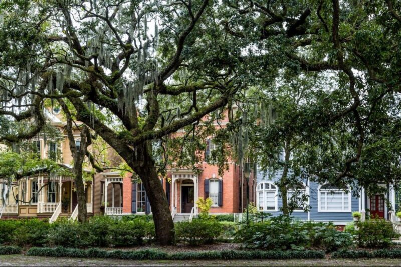 Savannah: Riverboat Cruise & City Tour Combo - The Sum Up