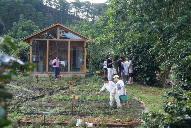 Scented candle workshop at Twin Beans Farm - Da Lat suburb - FAQ