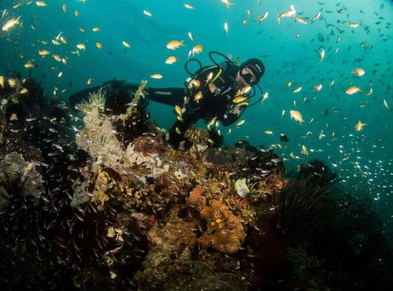 Scuba Diving in Boracay: SSI Basic Diver for Beginners - The Practical Details