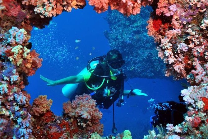 Scuba Diving Tour From Kusadasi / Selcuk - Why Choose This Tour?