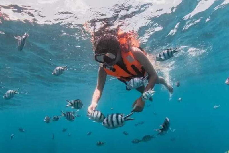 Semporna : Mabul and Kapalai Island Hopping shared tour - Practical Tips for Travelers