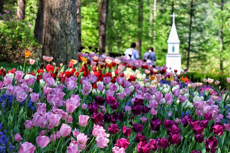 Seoul: Nami and Petite France Tour with Optional K-Garden - FAQ: Practical Questions About the Tour