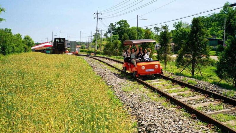 Seoul: Nami Island/Garden of Morning Calm Tour (+Rail Bike) - The Sum Up: Who Will Love This Tour?