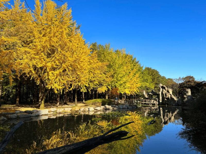Seoul: Strawberry, Nami Island & Garden Of Morning Calm Tour - FAQs