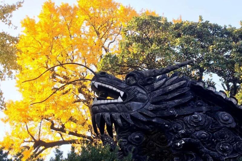 Shanghai: Yu Garden and City God Temple Walking Tour - Who Should Consider This Tour?