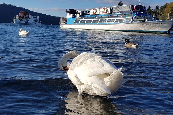 Shore Excursion: Lake District Adventure Sightseeing Day Trip from Liverpool - Practical Details & Value